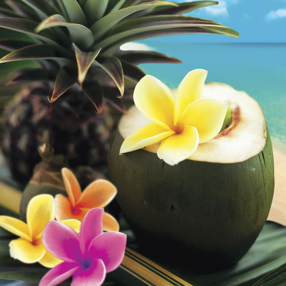 Tropical Getaway Large Tumbler - Village Candle - Stonewall Kitchen
